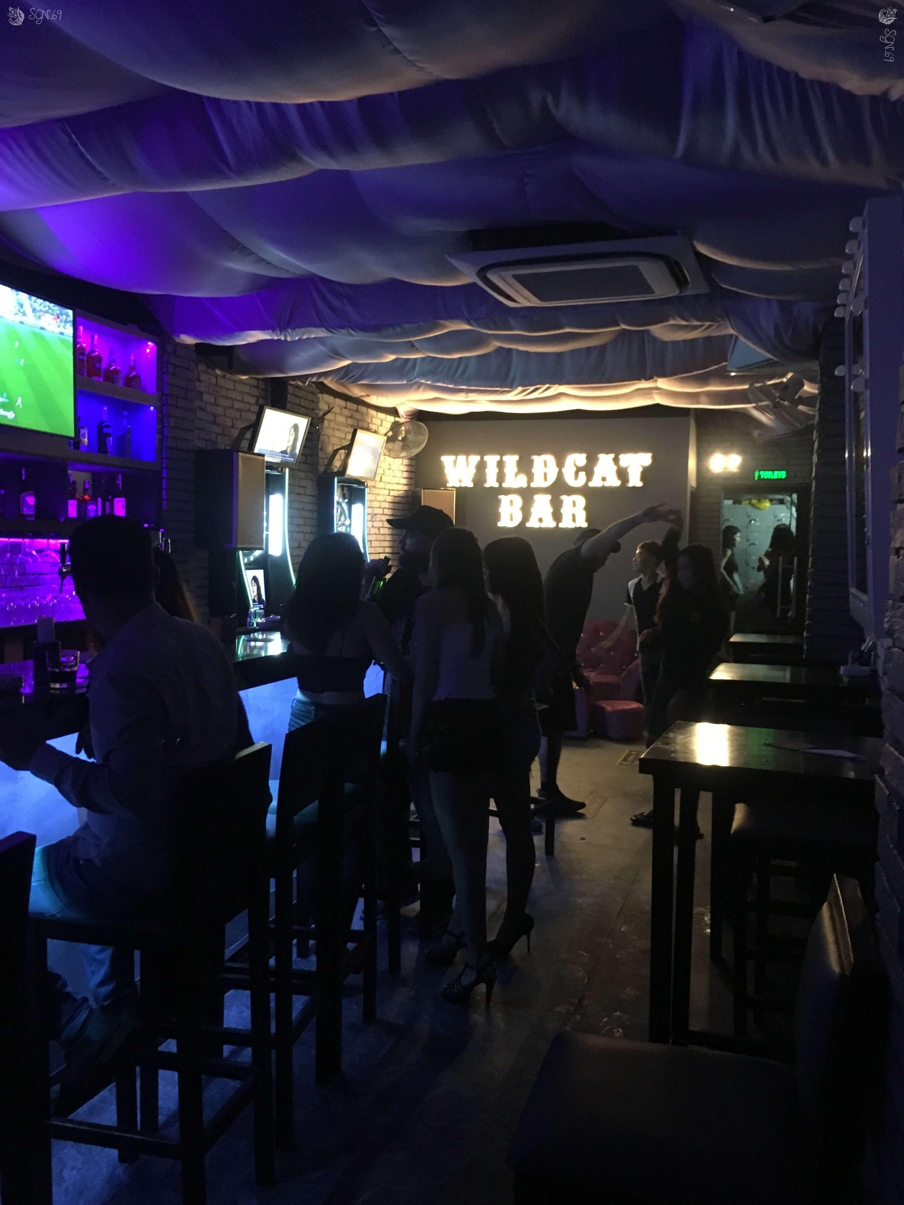 [閉店] Wildcat Barで遊んできた – in パスター(Pasteur)通りのガールズバー | 夜のホーチミン
